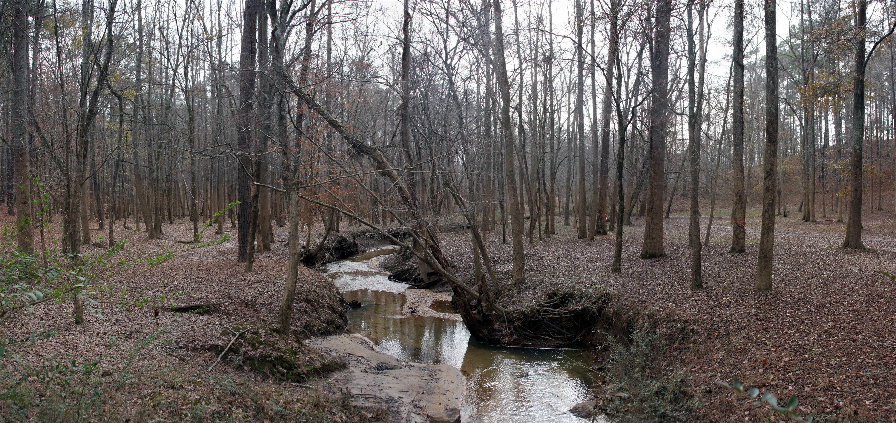 Locations Hub - McIntosh Reserve Park (winter)