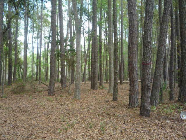 Locations Hub - Indian Bluff