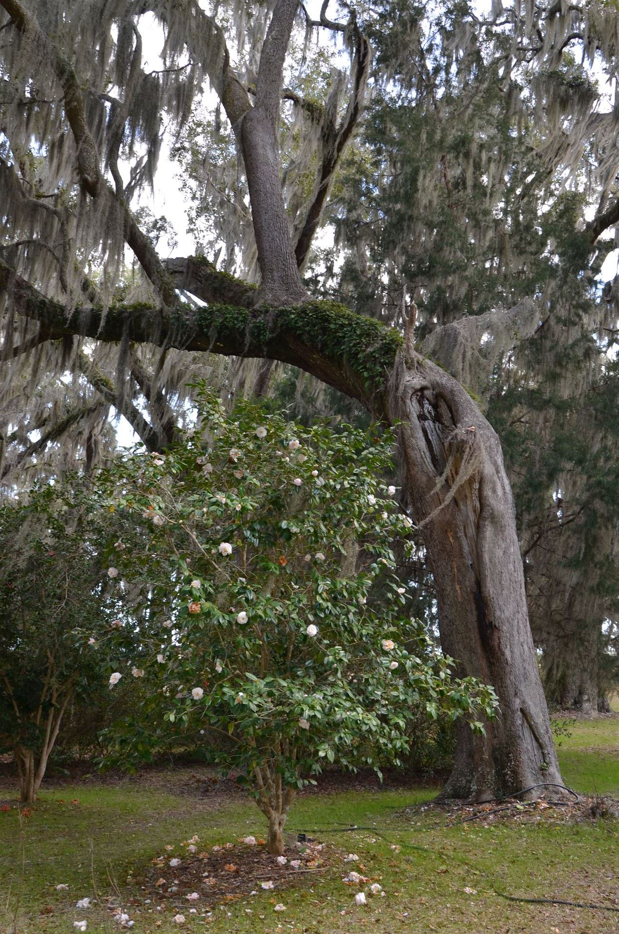 Locations Hub - Dunham Farm