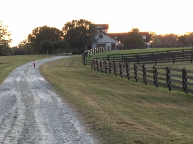 Locations Hub - Elysian Fields Farm