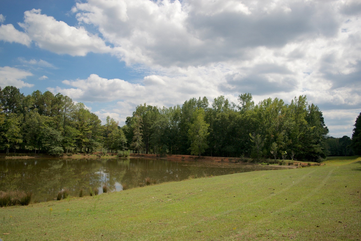 Locations Hub - Gore Farm - 600+ Acre Cattle Farm