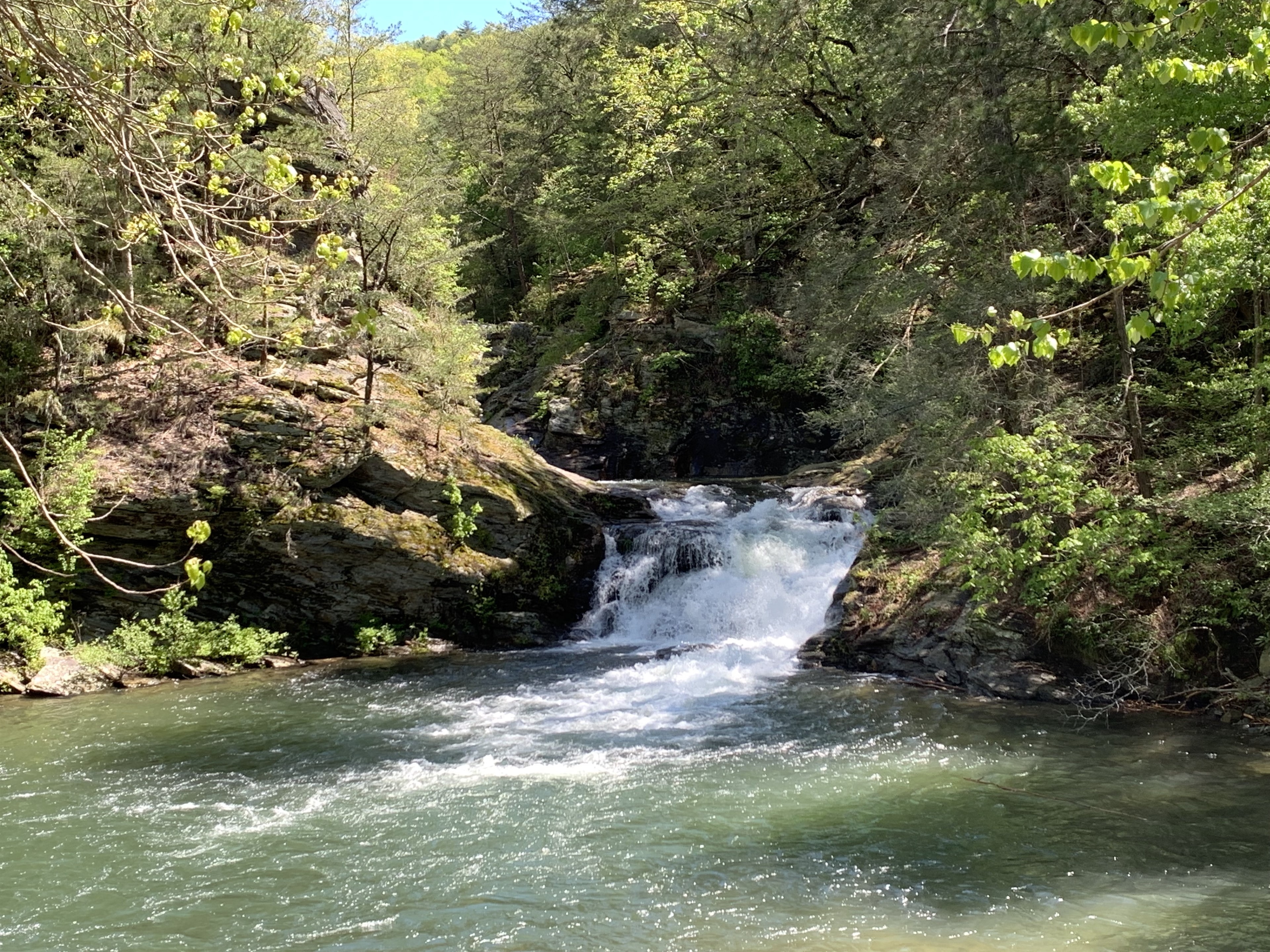 Locations Hub - Reed's Pool (Natural Pools and Waterfalls)