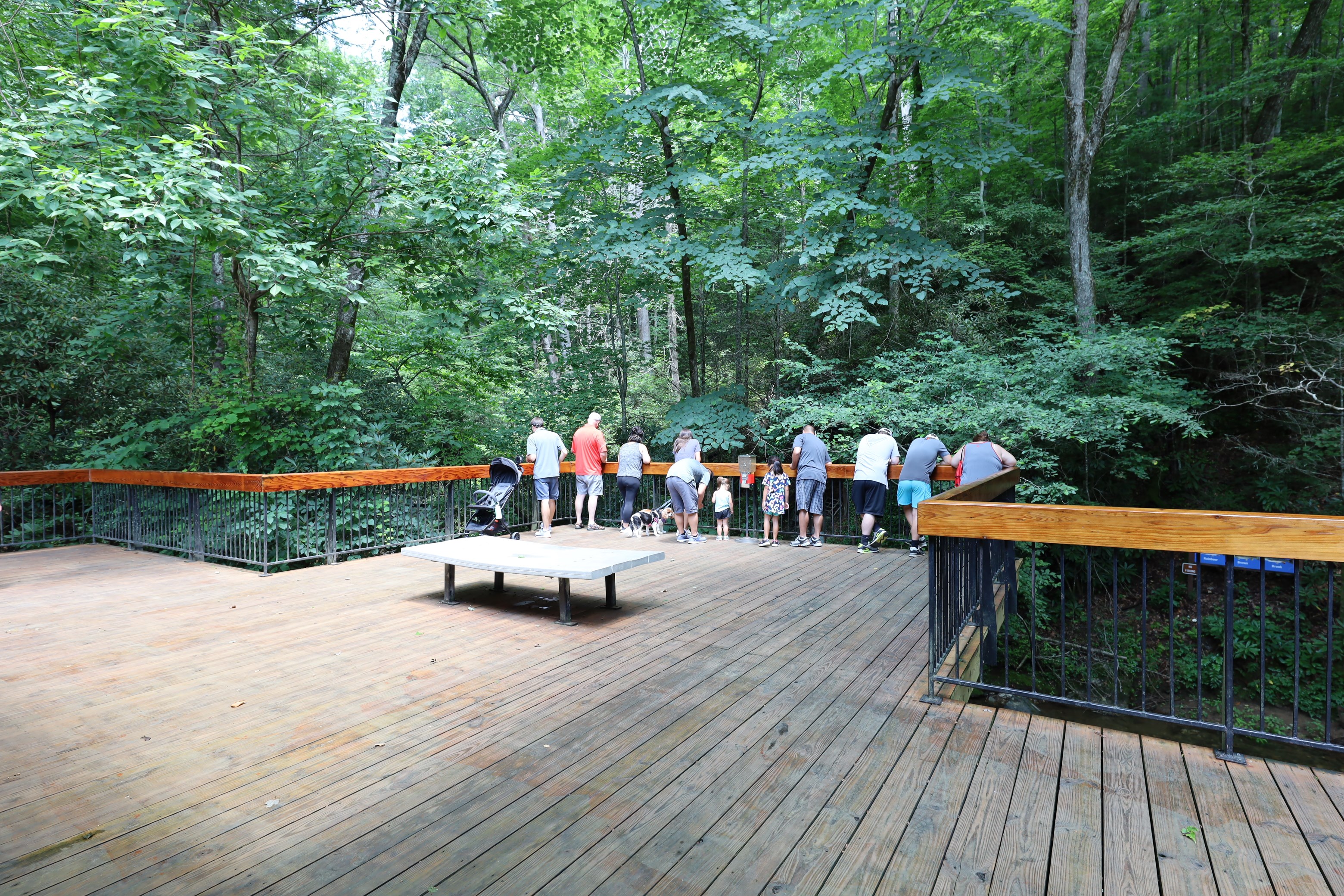 Locations Hub - Anna Ruby Falls Recreation Area