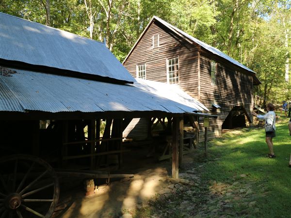 Locations Hub - Jarrell Plantation Historic Site