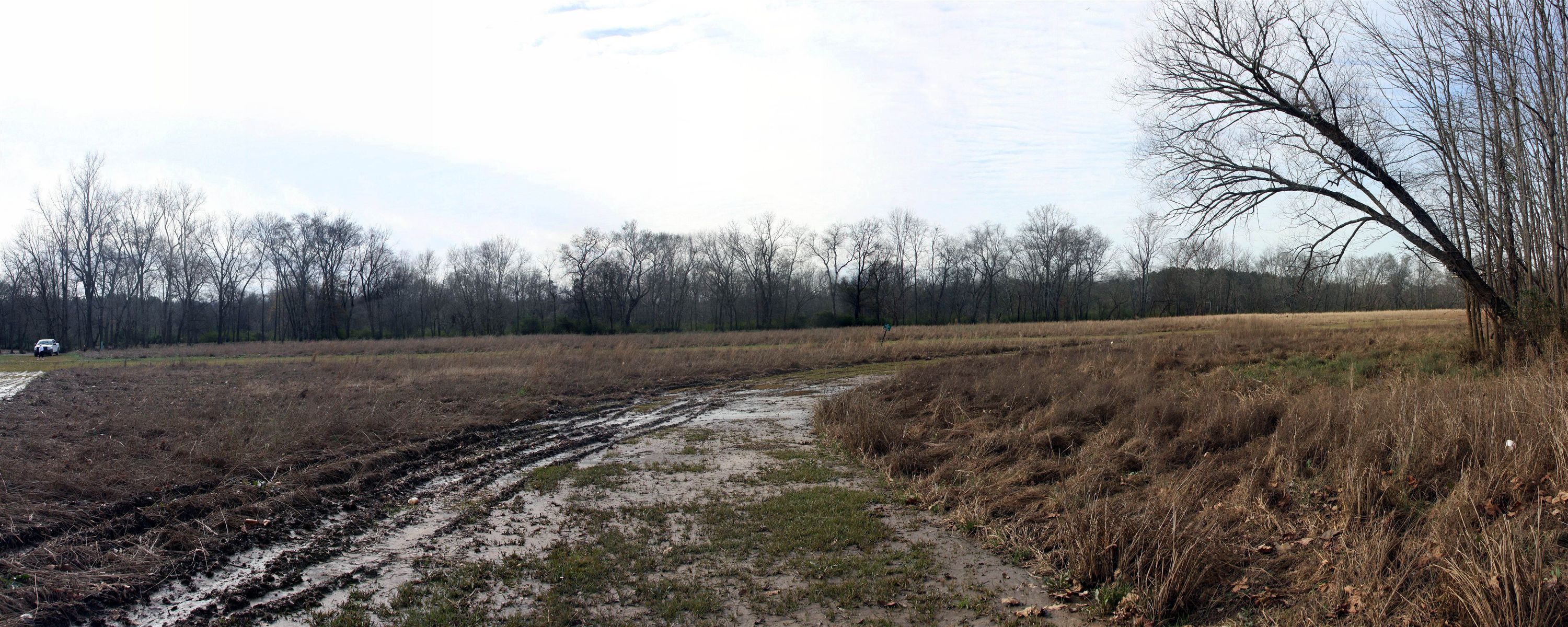Locations Hub - McIntosh Reserve Park (winter)