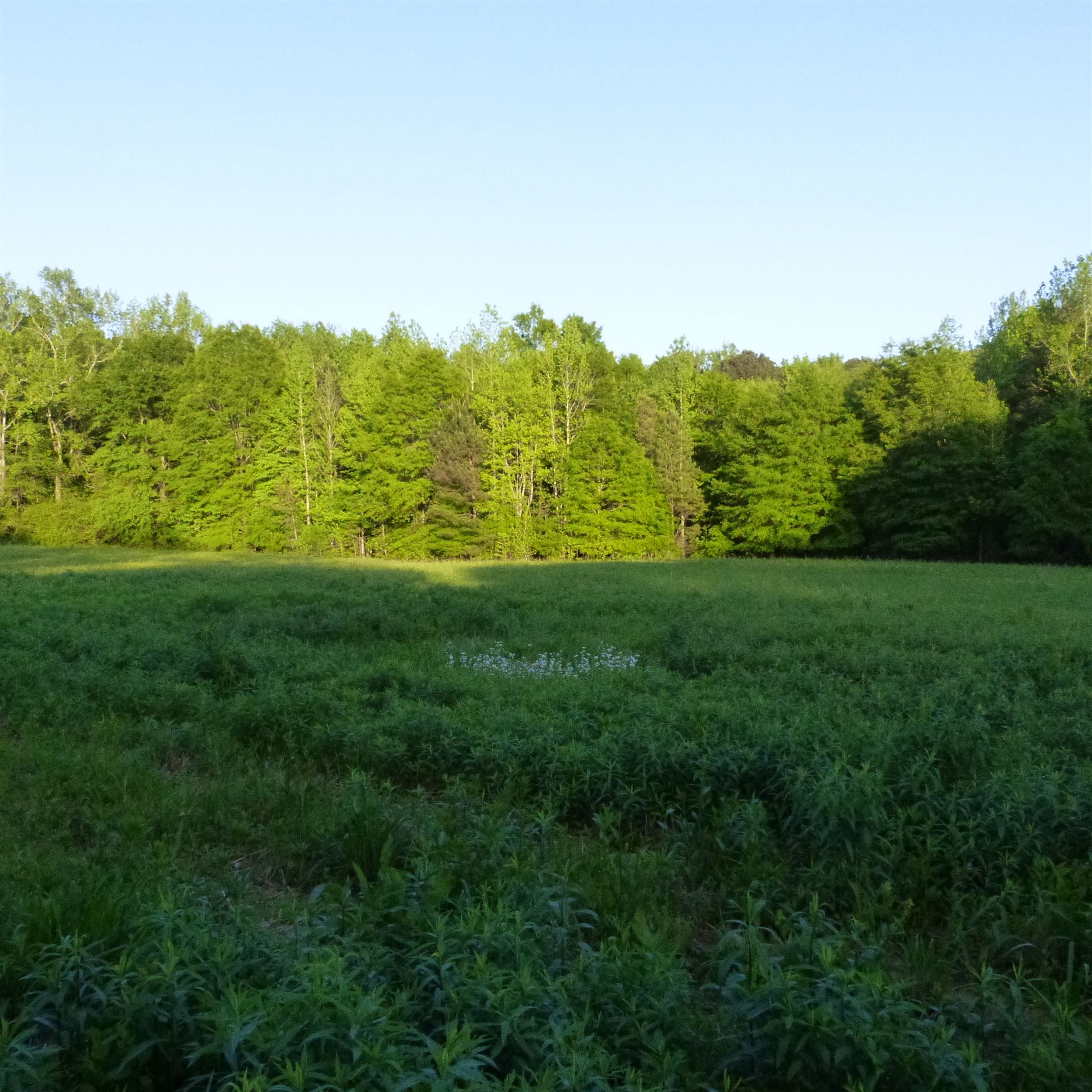 Locations Hub - McCrary Minnow Farm The Barn