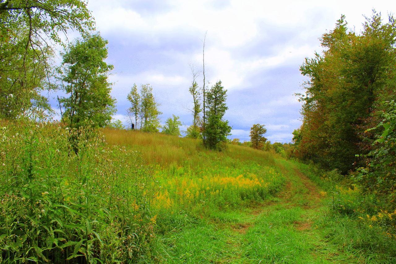 Locations Hub - Allen Family Farm