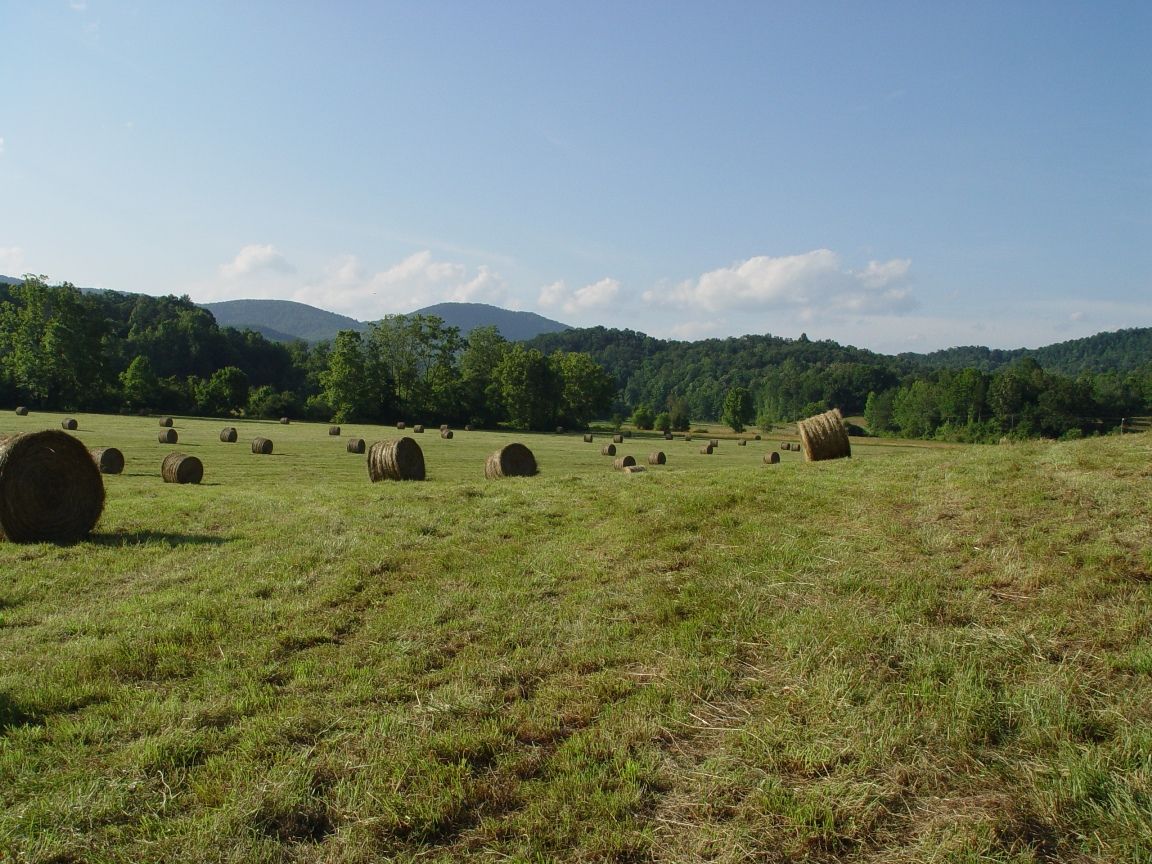 Locations Hub - Batesville GA Farm