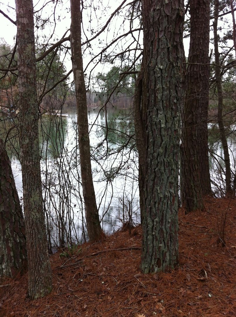 Locations Hub - Lake Marguerite