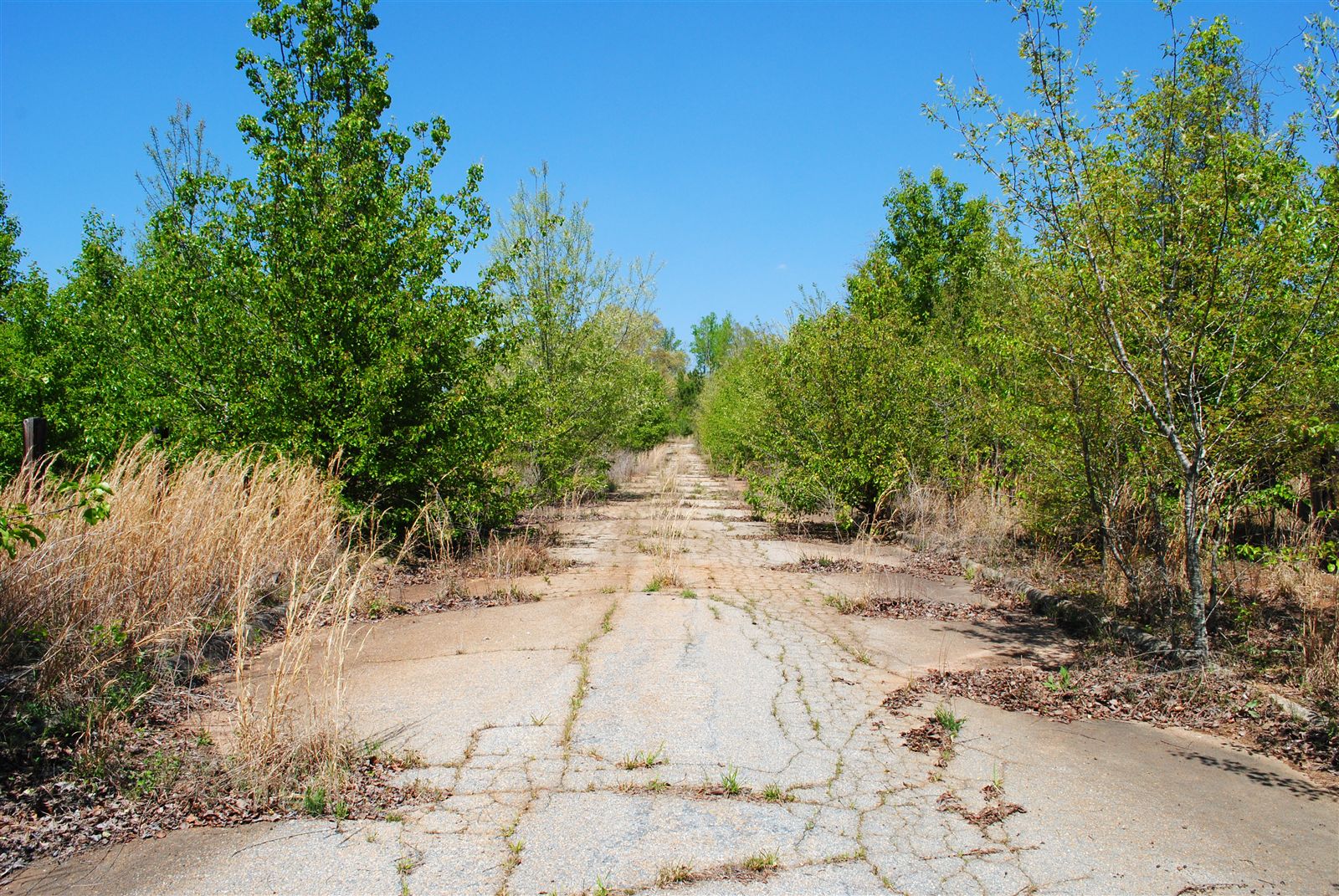 Locations Hub - Bar H Ranch