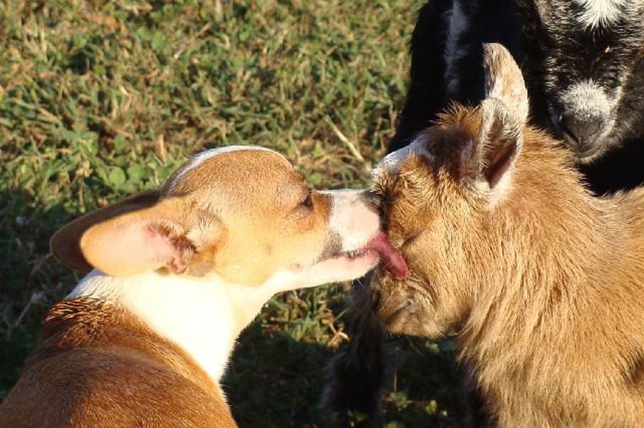 Locations Hub - Double Durango Farm