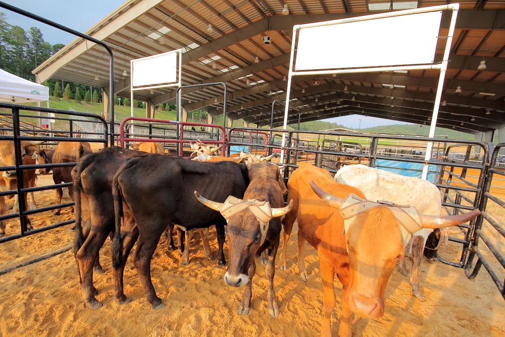 Locations Hub - Rabun County Arena