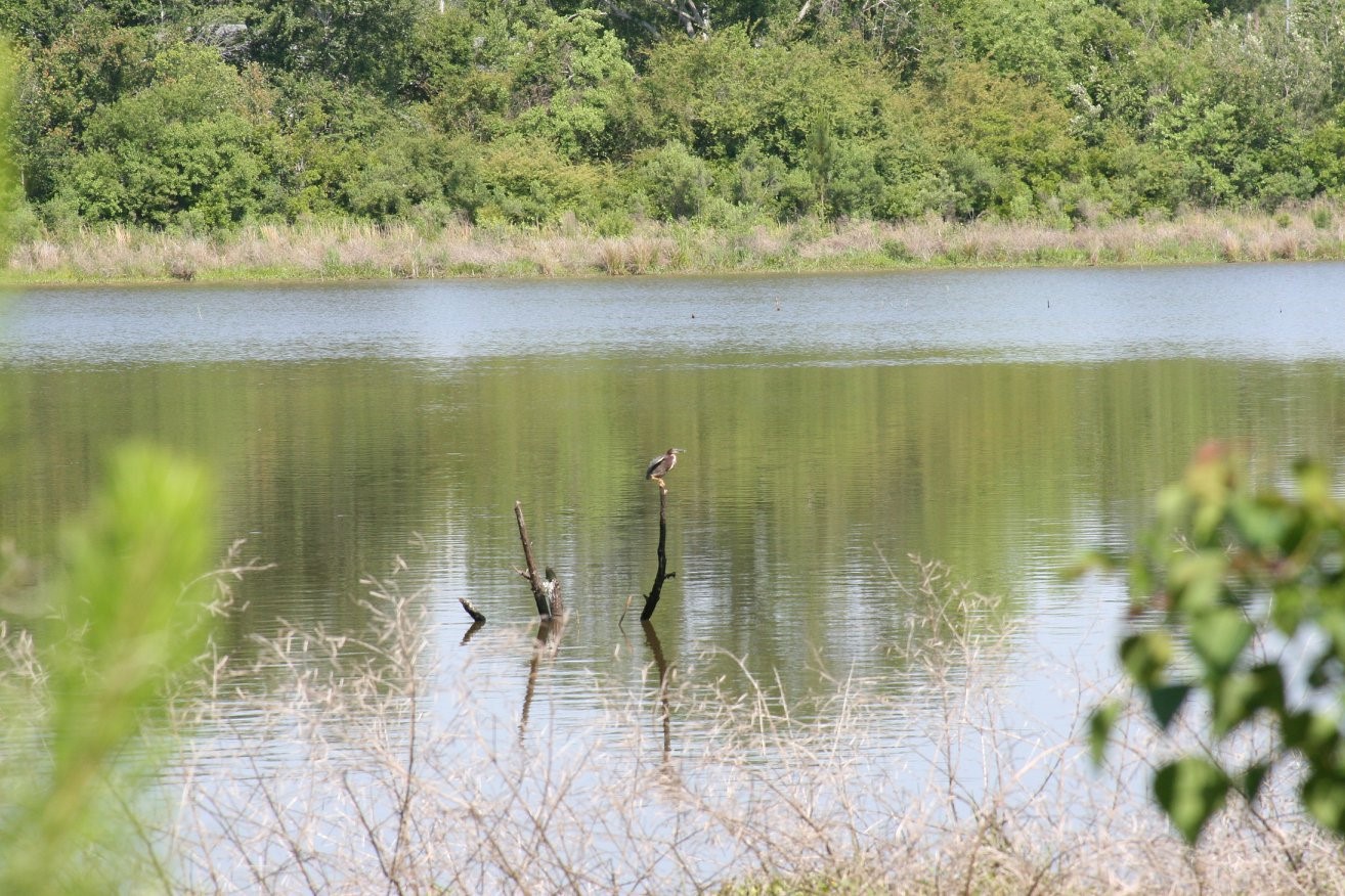 Locations Hub - Milton "Buddy" Hopkins Nature Preserve