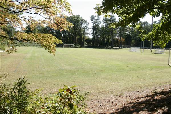 Locations Hub - Tolleson Park & Pool