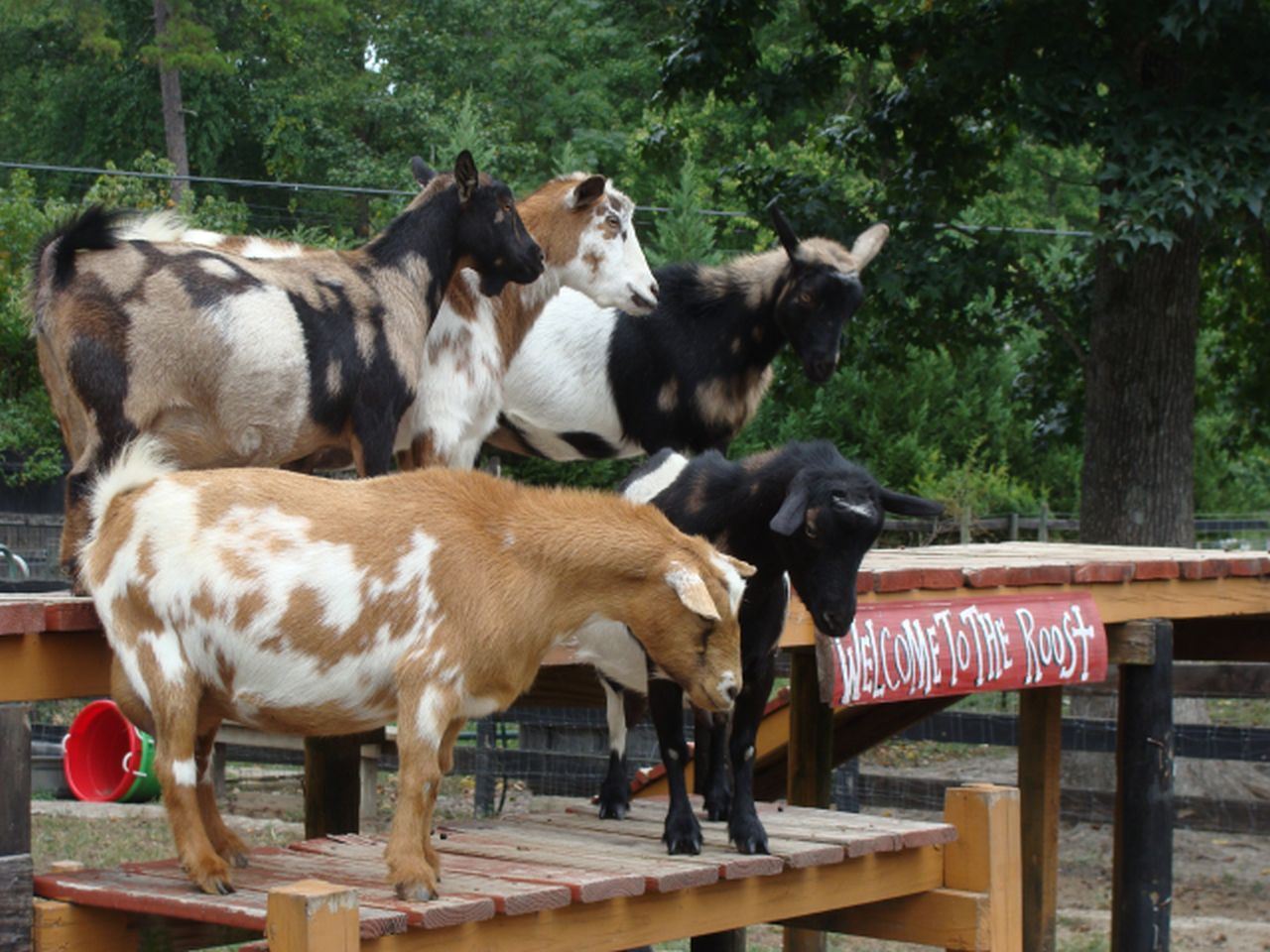 Locations Hub - Double Durango Farm