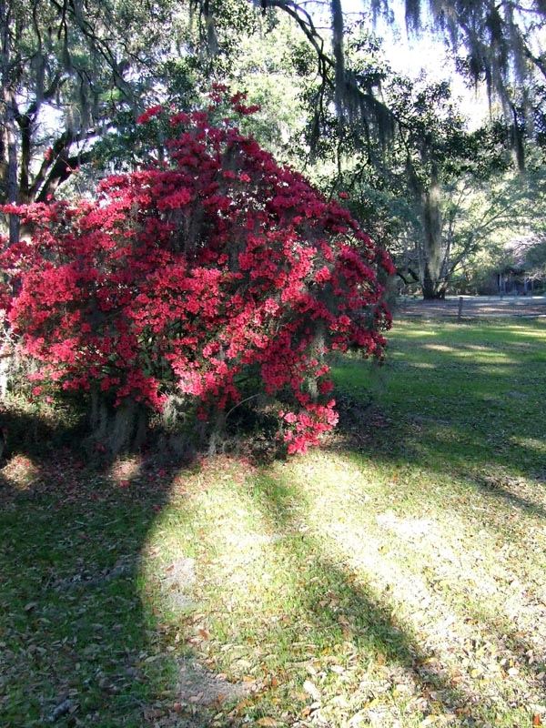 Locations Hub - Dunham Farm