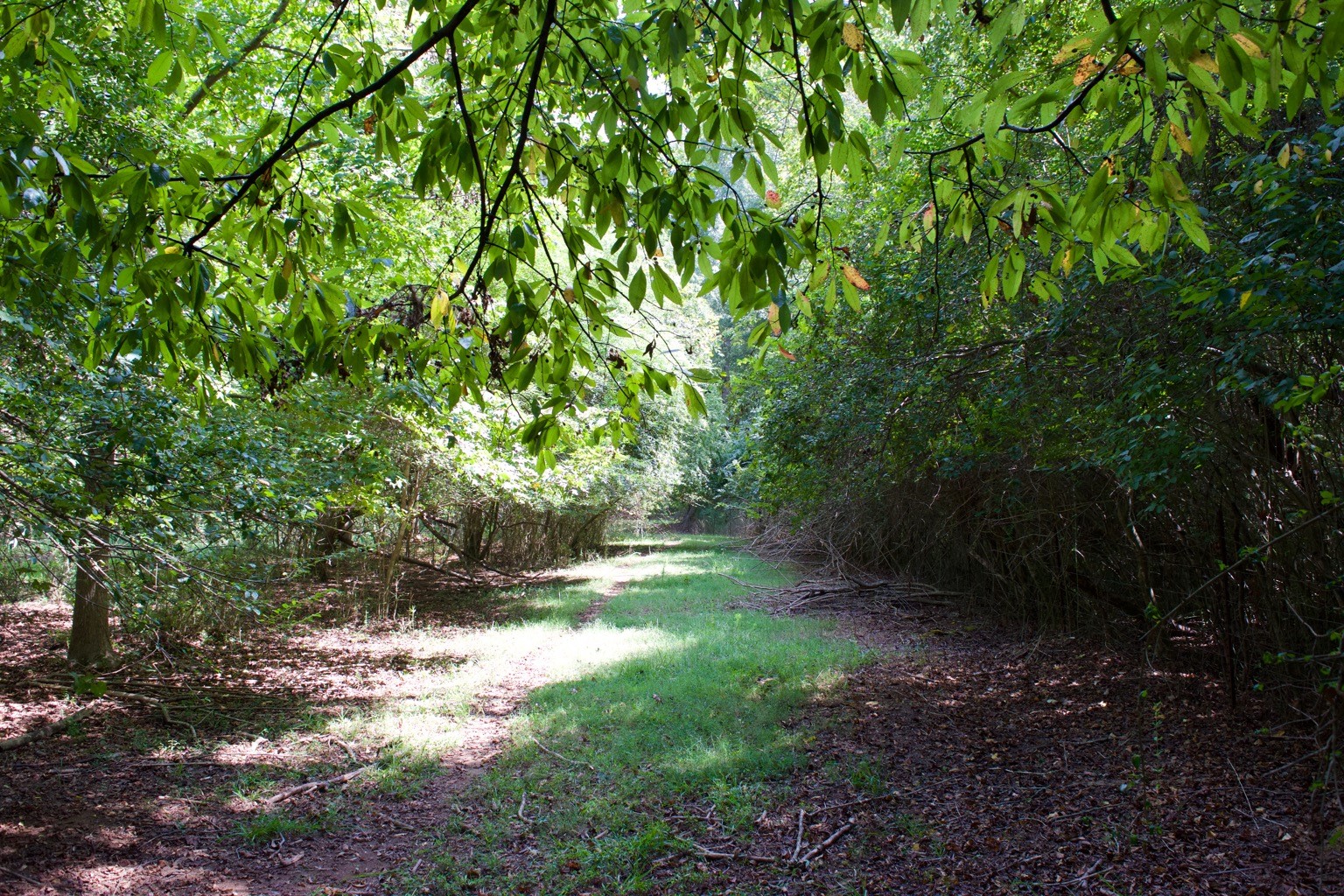 Locations Hub - Gore Farm - 600+ Acre Cattle Farm