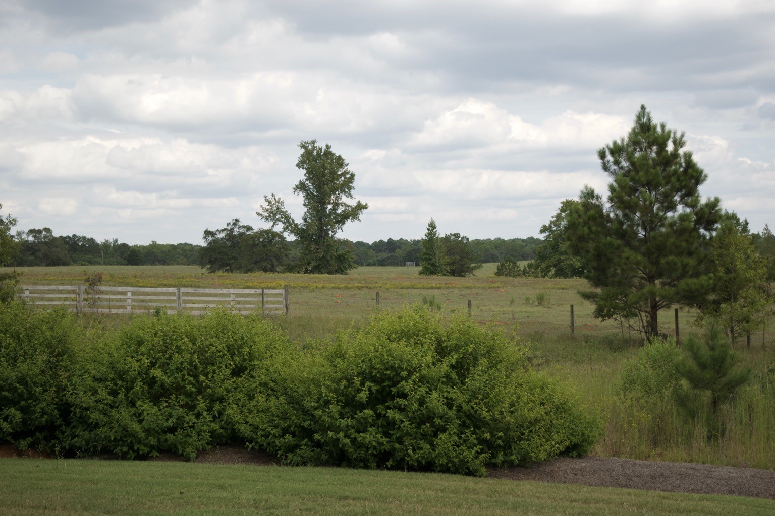 Locations Hub - Gore Farm - 600+ Acre Cattle Farm