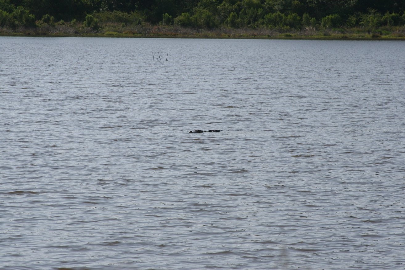 Locations Hub - Milton "Buddy" Hopkins Nature Preserve