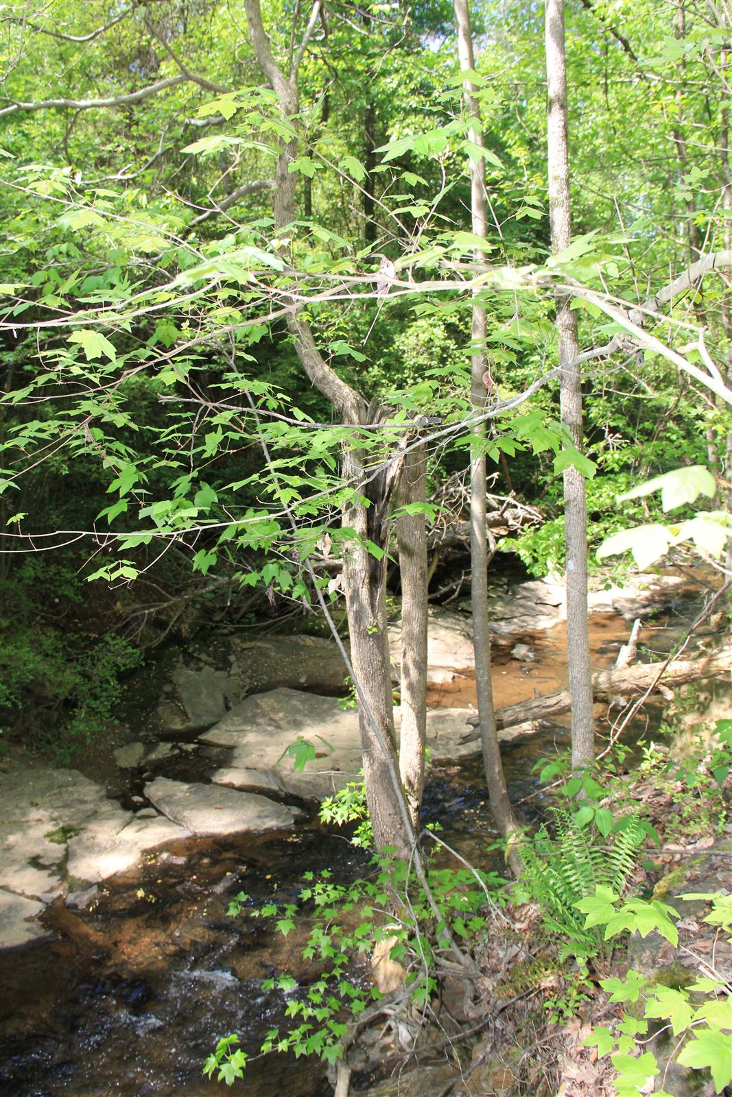 Locations Hub - Waller Park