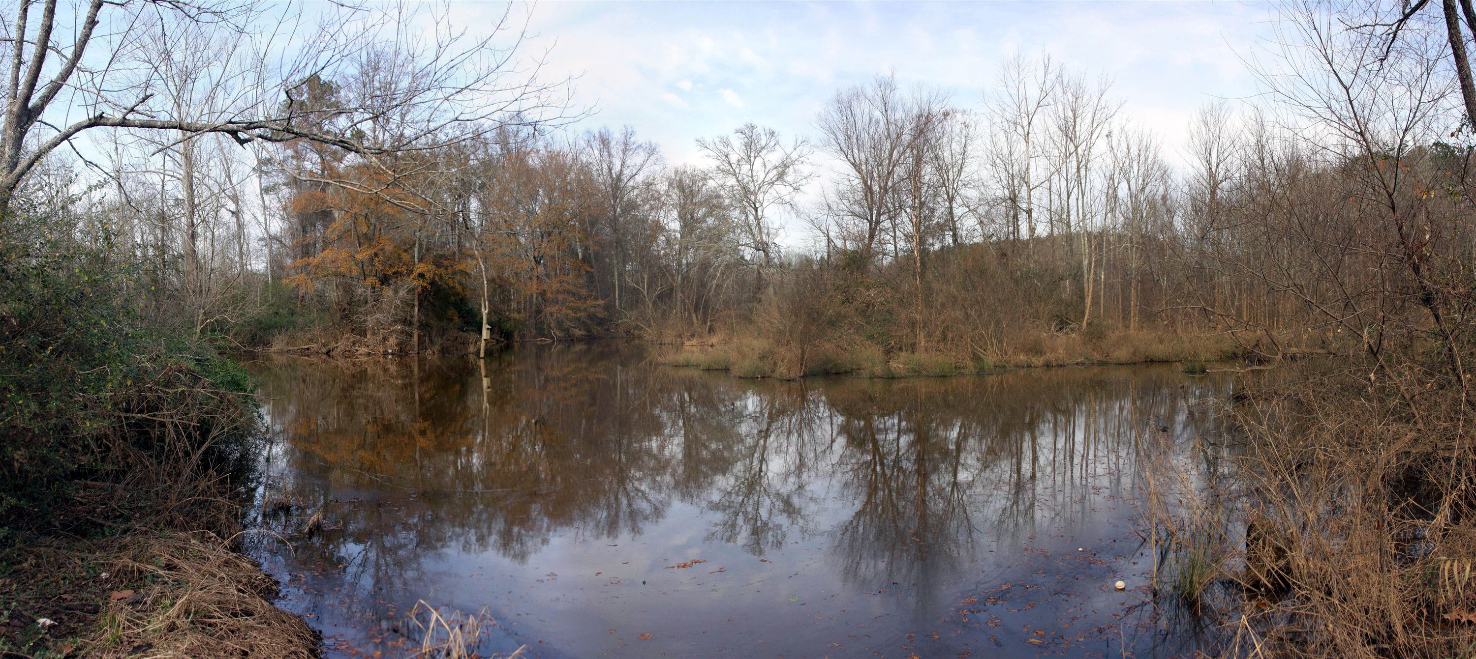 Locations Hub - McIntosh Reserve Park (winter)