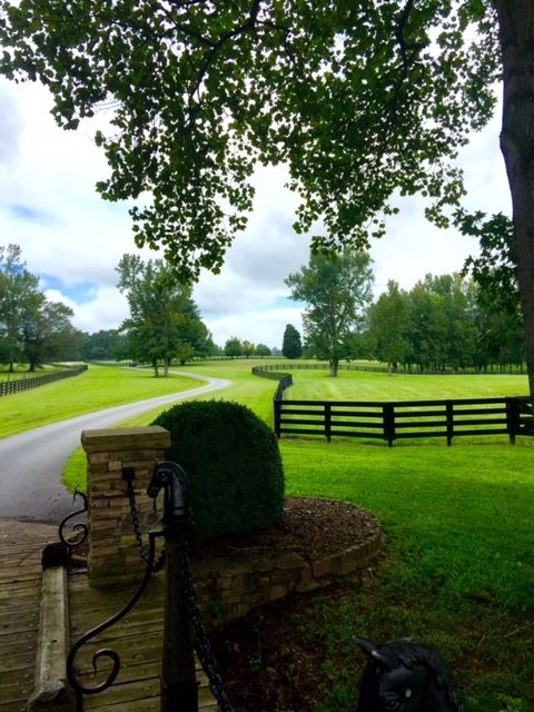 Locations Hub - Elysian Fields Farm