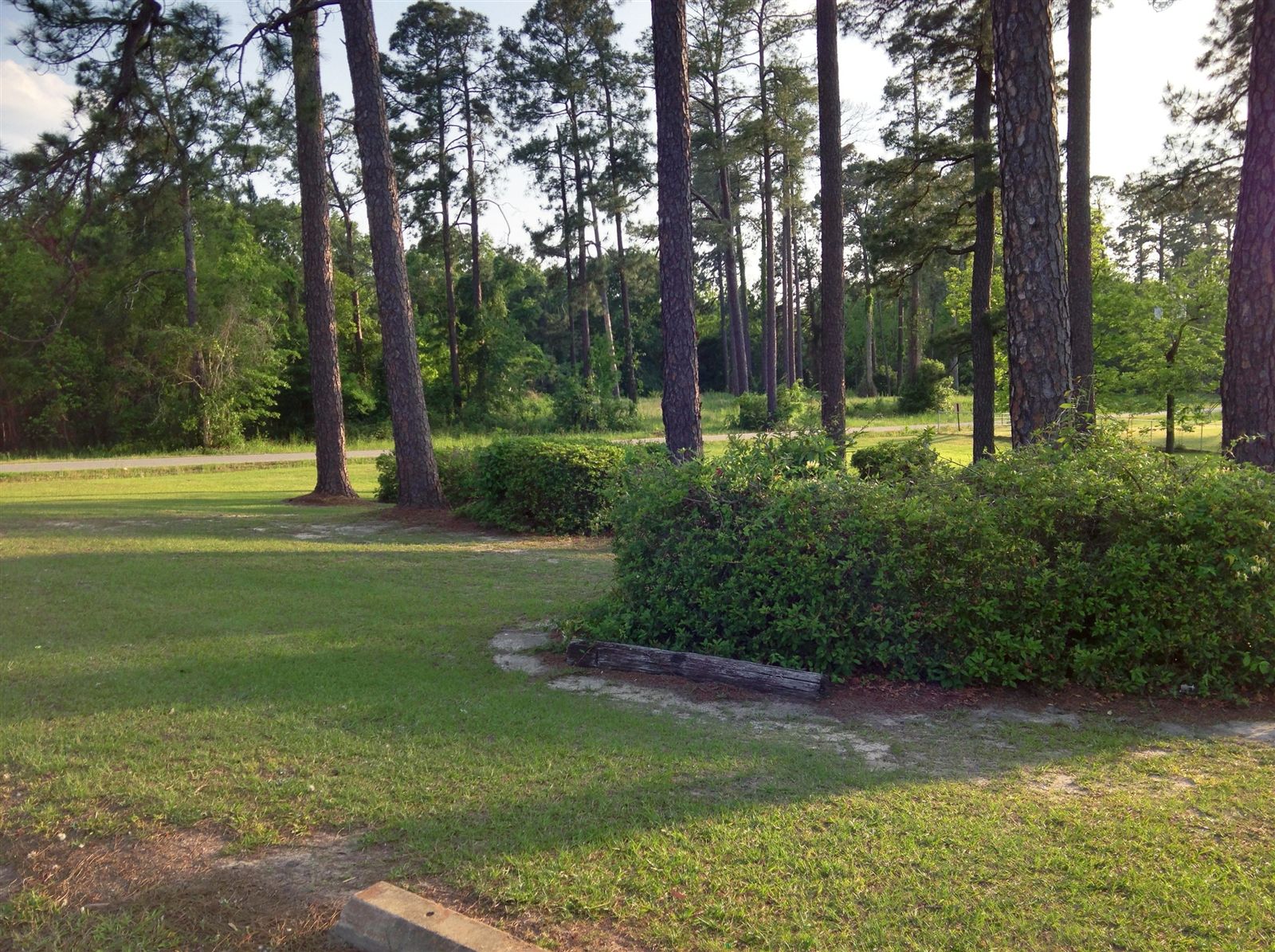 Locations Hub - Pope Park