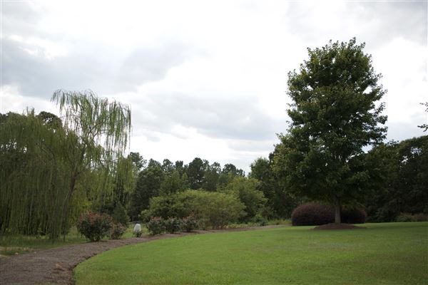 Locations Hub - Gore Farm - 600+ Acre Cattle Farm