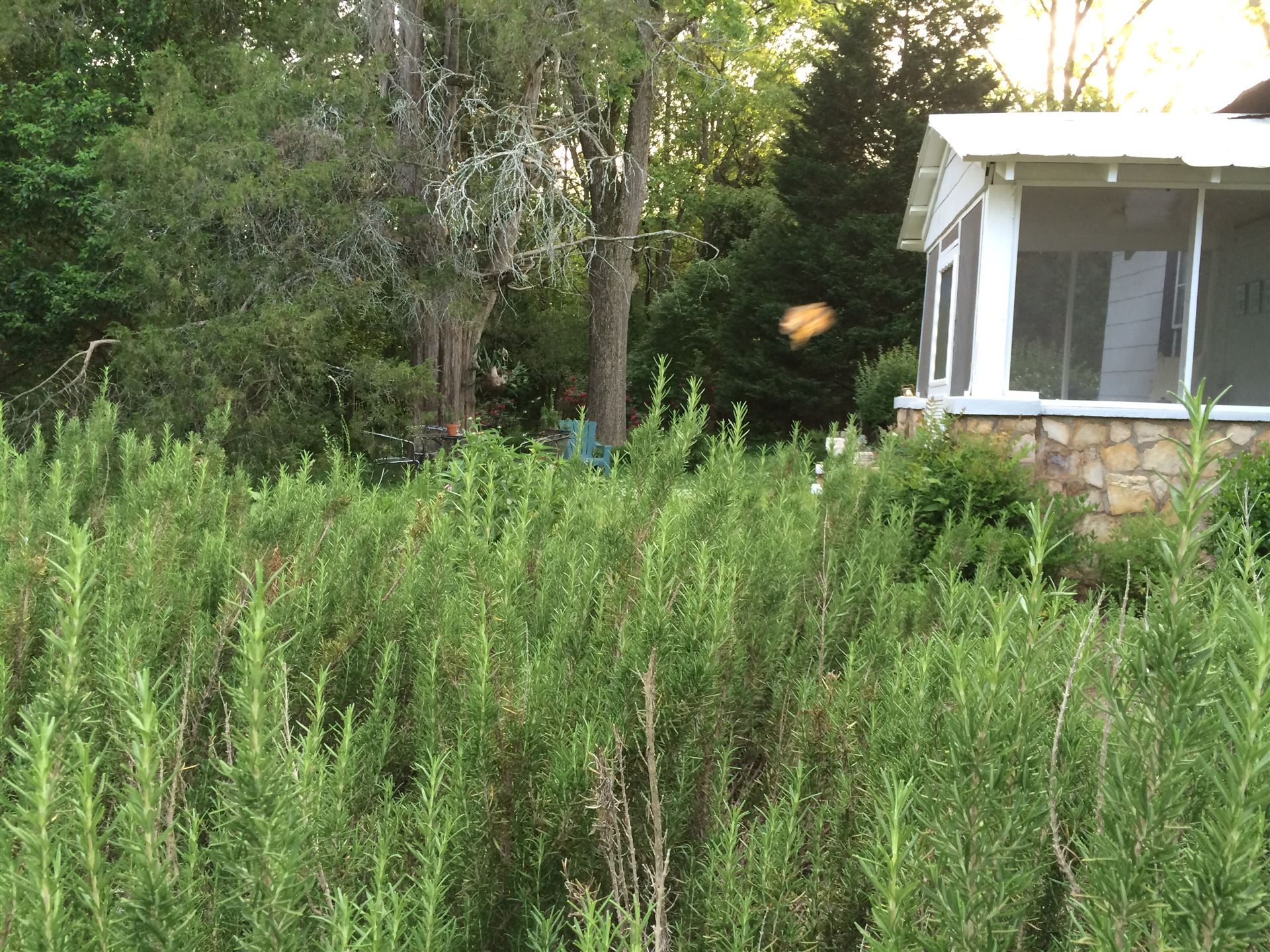 Locations Hub - McCrary Minnow Farm Little House