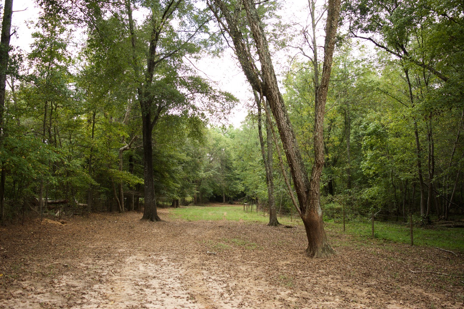 Locations Hub - Gore Farm - 600+ Acre Cattle Farm