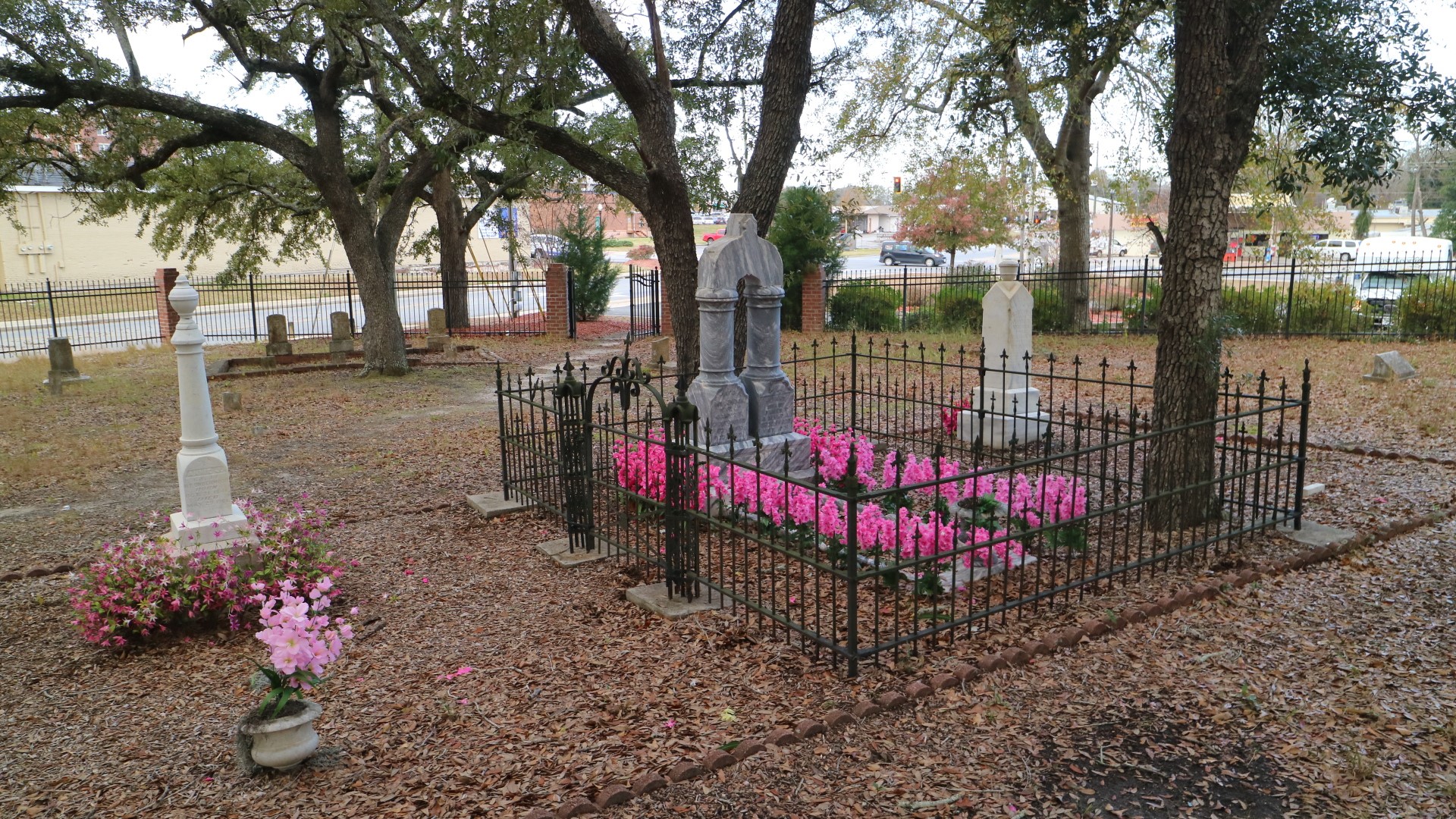 Locations Hub - Early Settler Cemetery