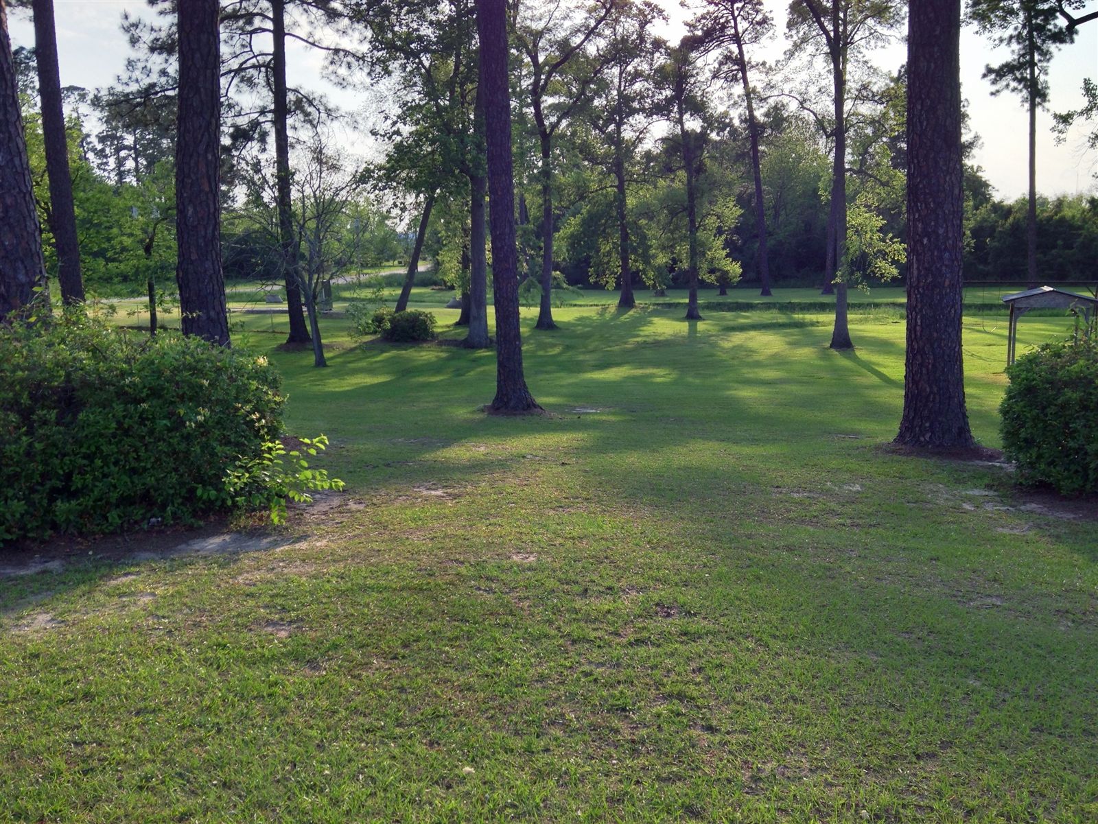 Locations Hub - Pope Park