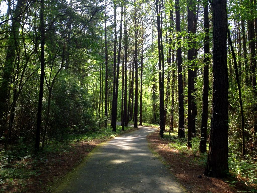 Locations Hub - Logan Farm Park