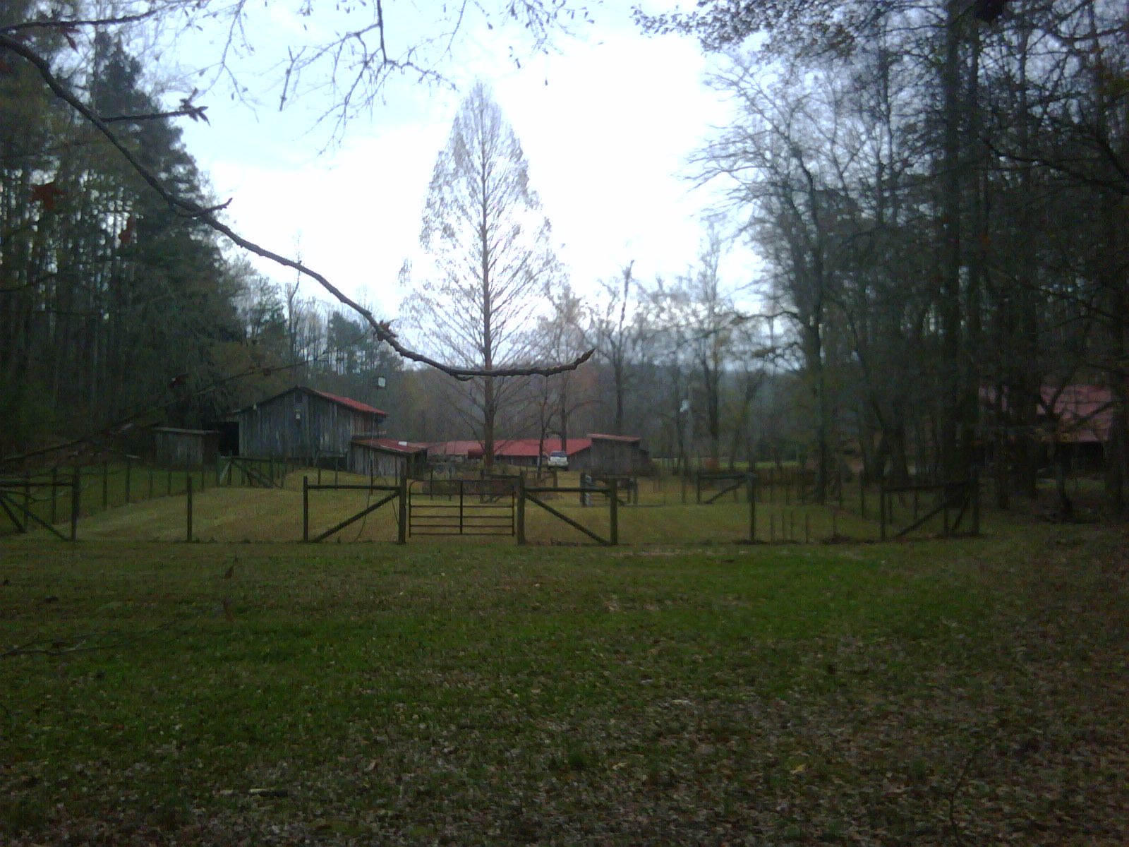 Locations Hub - Camp Mikell Cabin