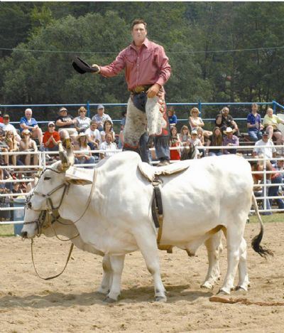 Locations Hub - Shady Dale Rodeo Grounds