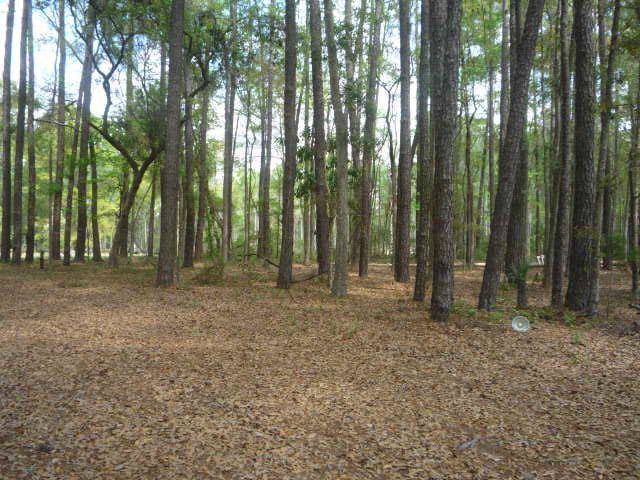 Locations Hub - Indian Bluff