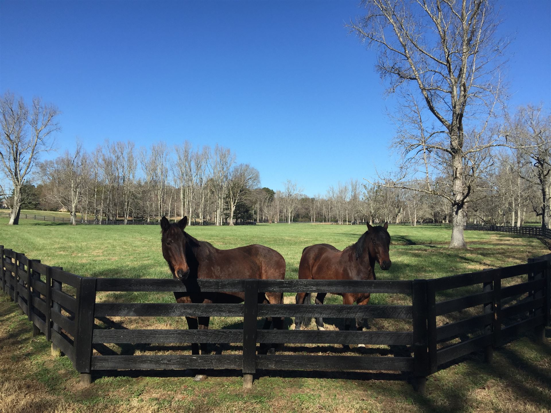 Locations Hub - Elysian Fields Farm