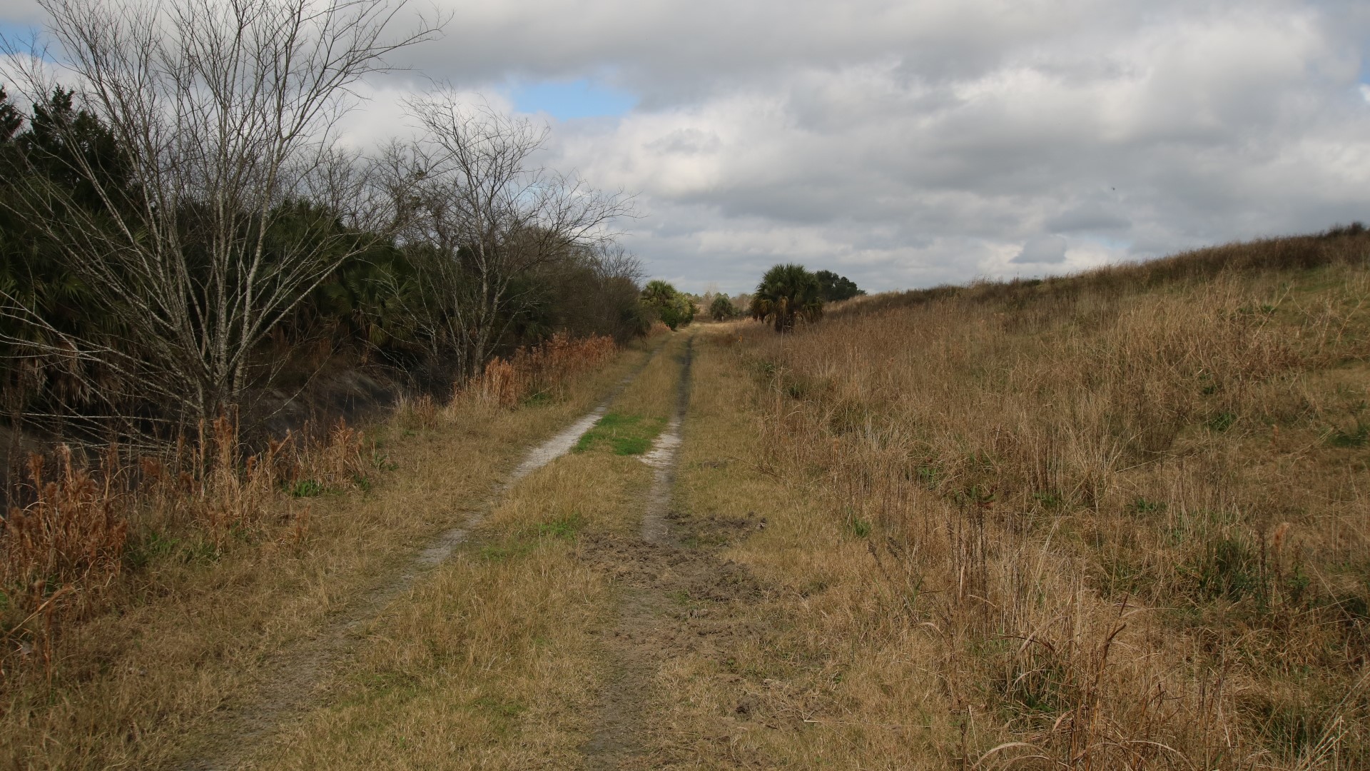 Locations Hub - Gilman Paper Mill Ruins