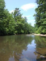 Locations Hub - Line Creek Nature Area