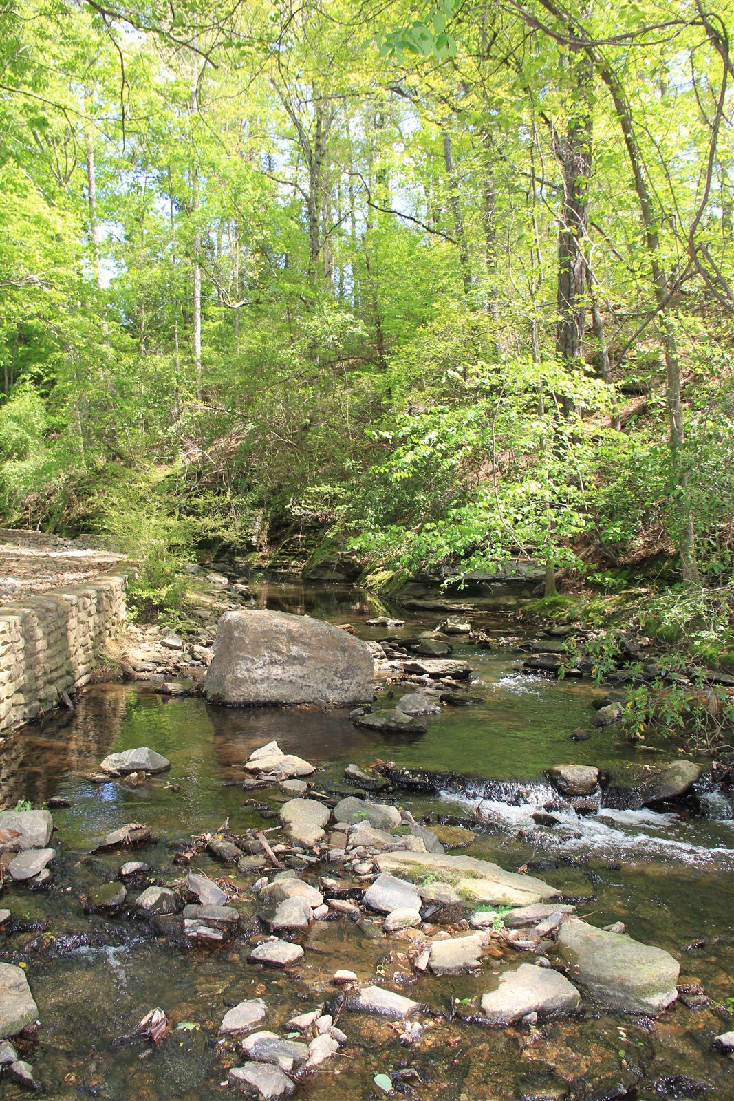 Locations Hub - Waller Park