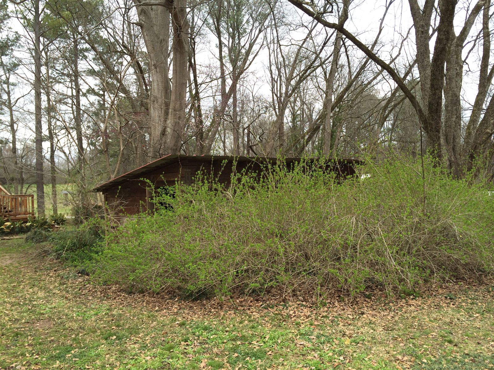 Locations Hub - Shields Ethridge Homeplace