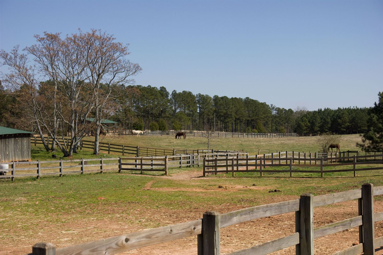 Locations Hub - Burge Club