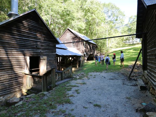 Locations Hub - Jarrell Plantation Historic Site