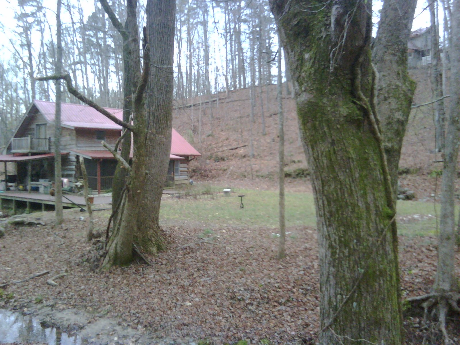 Locations Hub - Camp Mikell Cabin