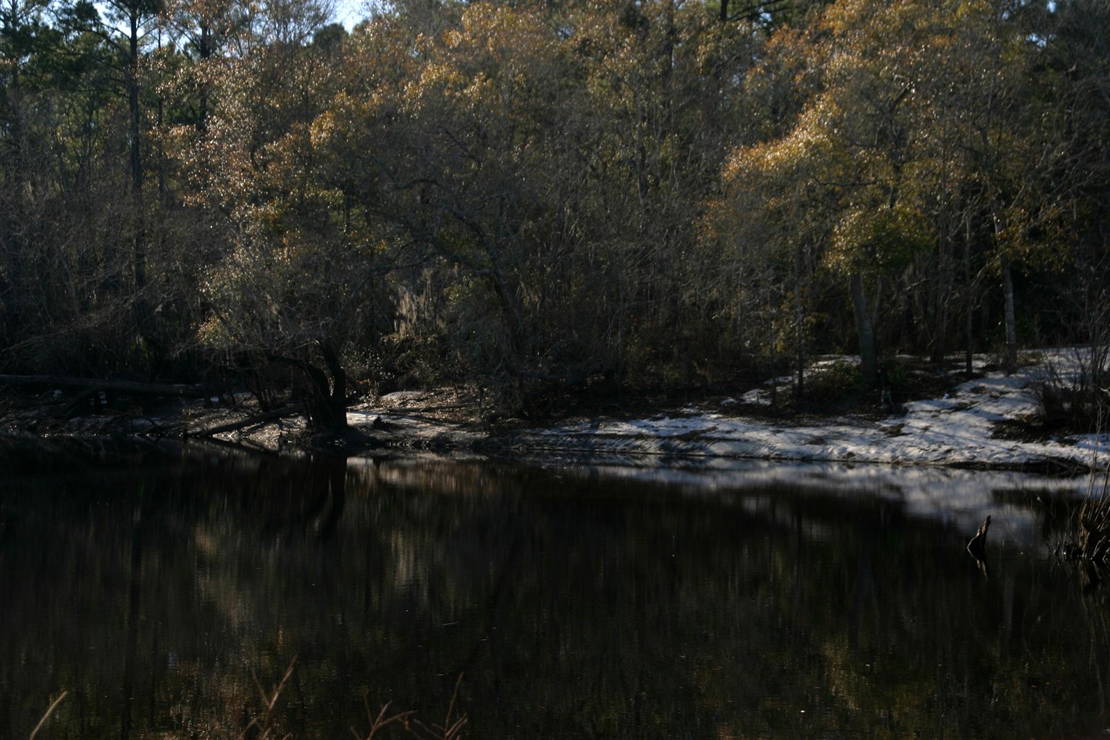 Locations Hub - Berrien Beach--Alapaha River