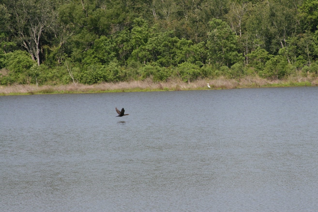 Locations Hub - Milton "Buddy" Hopkins Nature Preserve