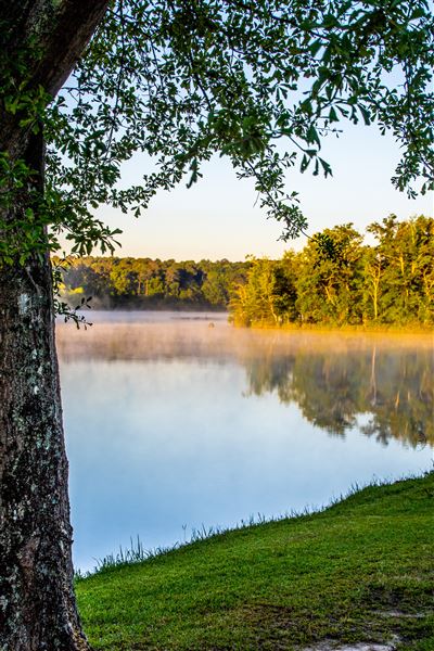 Locations Hub - Bert Adams Scout Camp