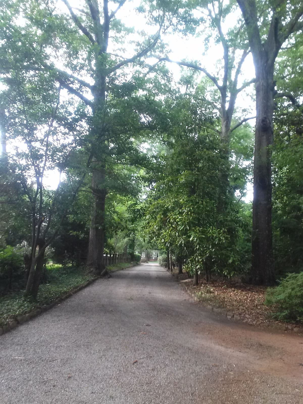 Locations Hub - Violet Bank-Griffin GA