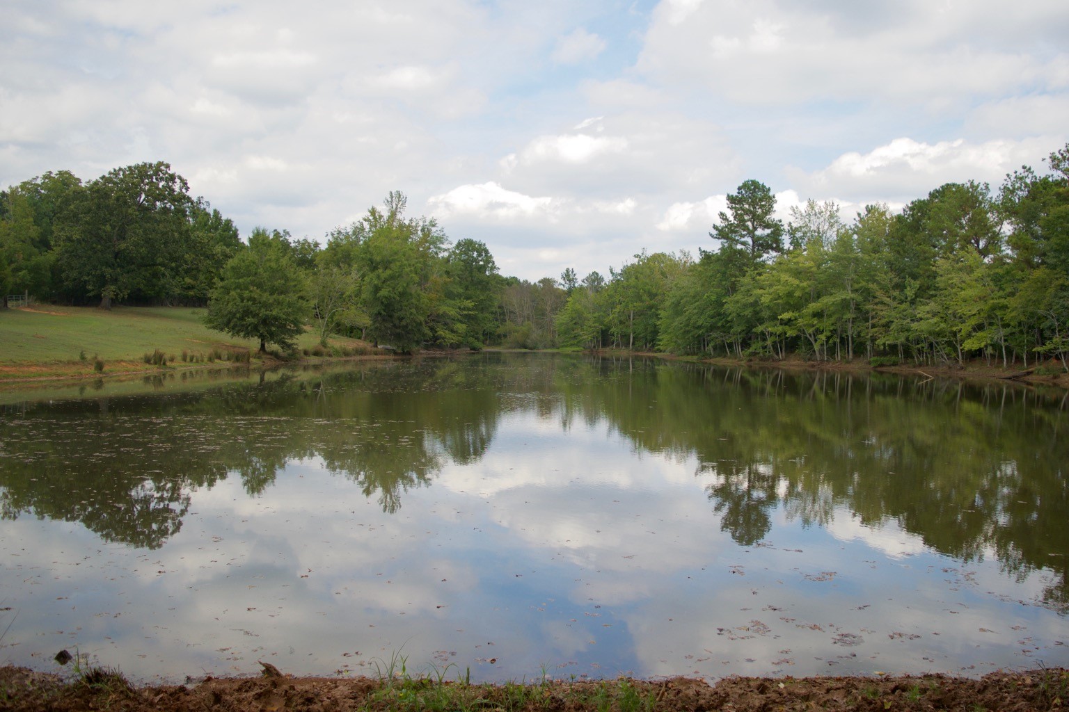 Locations Hub - Gore Farm - 600+ Acre Cattle Farm