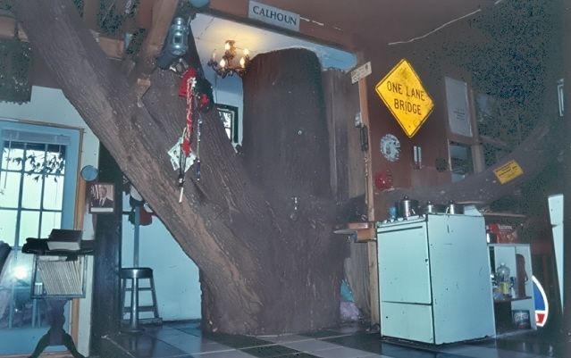 Locations Hub - Sam's Treehouse